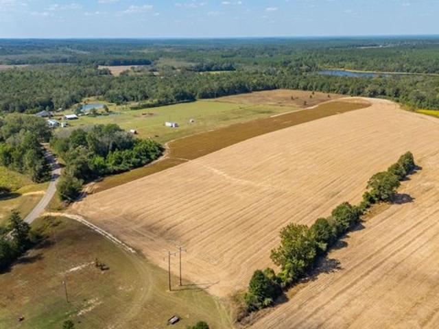 4.91 Acres D McPhail Farm Rd, Florala, AL 36442