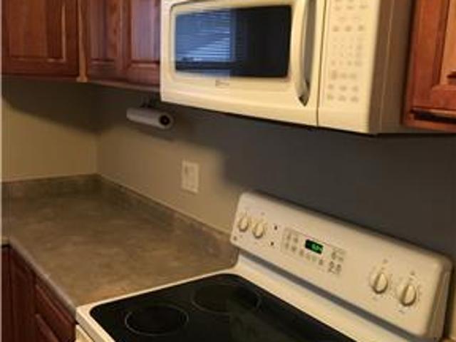4+bd/2bth House for rent Nokomis