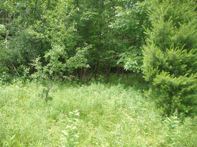 4th Addition Lot 12, Park Falls, WI 54552