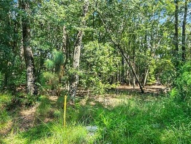 4th St, Guyton, GA 31312
