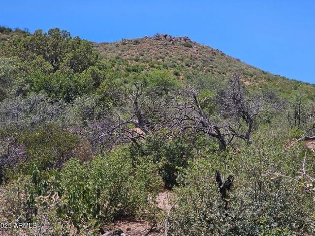 4XX S El Capitan Dr, Globe, AZ 85501