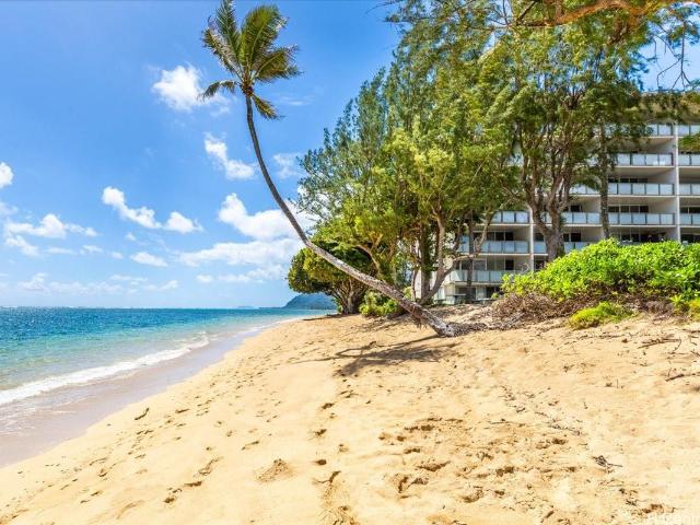 53 549 Kamehameha Hwy, Unit 201, Hauula, HI 96717 | MLS #202607
