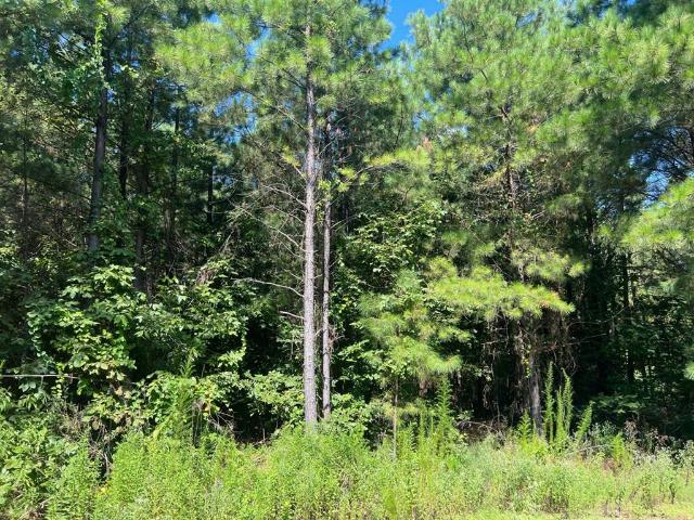 53 Weathered Timber Trail