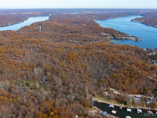 53 Acres Buckridge Road