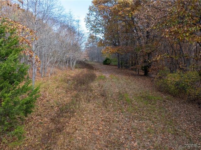 53 Acres Buckridge Road