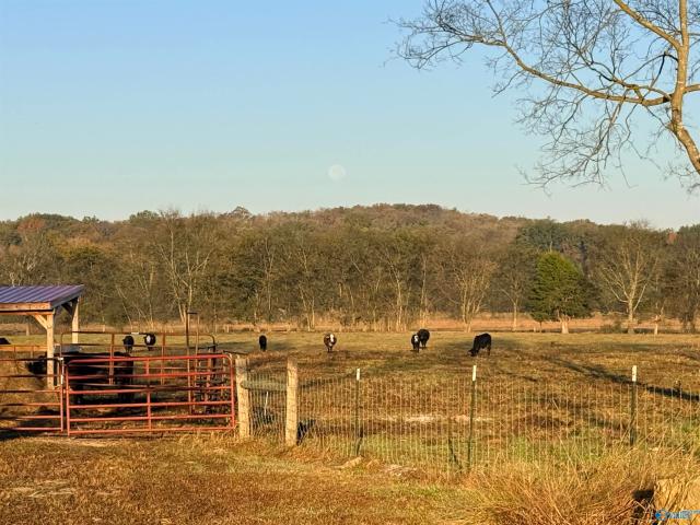 53 Acres County Road 41 W