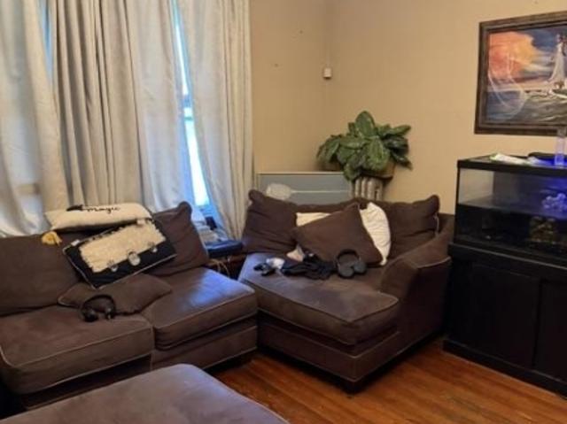 53 Chapman Pl