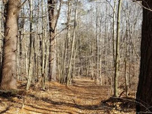 53 Flagg Hill Rd, Colebrook, CT 06021
