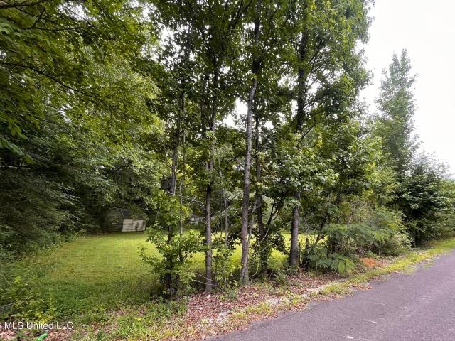 53 Lenzi Road