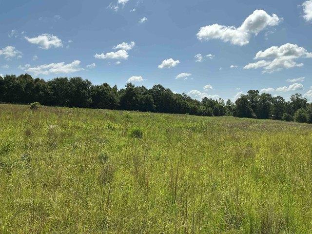 53 Old School Rd, Opp, AL 36467