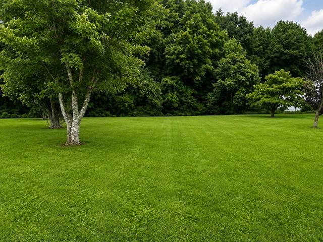 53 Pine Grove Rd