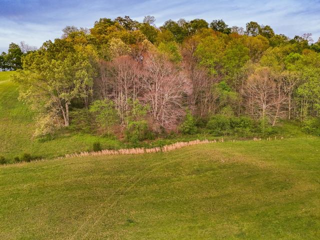 53 Pleasant Hill Rd