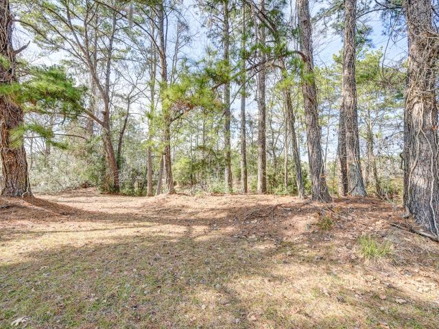 53 Smith Loop N, Cleveland, TX 77327 | MLS #34655