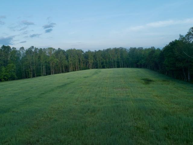 53AC Hankins Rd