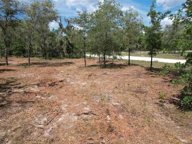 53rd Ln, Morriston, FL 32668