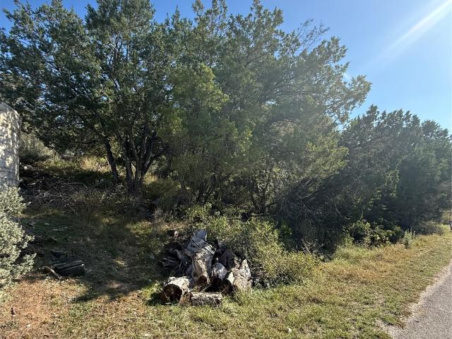 5007 Country Club Dr, Lago Vista, TX 78645 | MLS #9782