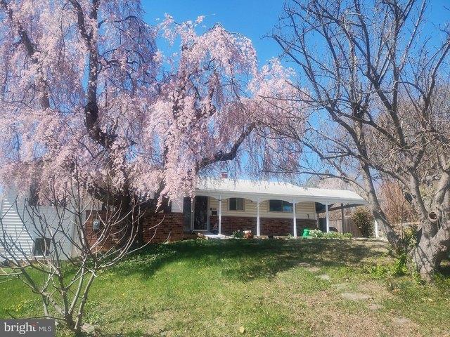 5008 Regina Dr, Annandale, VA 22003