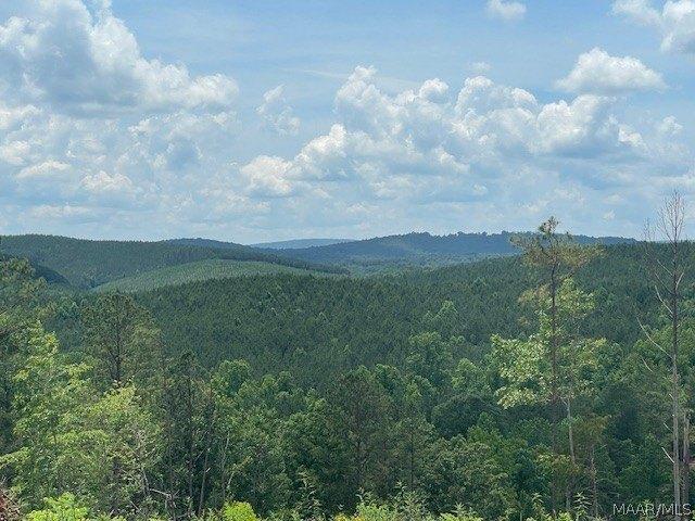 5000 Mines Rd, Ashland, AL 36251