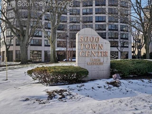 5000 Town Ctr Ste 3206, Southfield, MI 48075