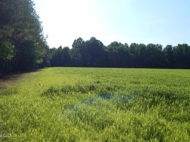 500 Cr 247 Country Road