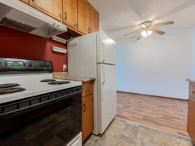 500 Boright St 1 Bedroom Apartment for Rent at 500 Boright St, Le Sueur, MN 56058