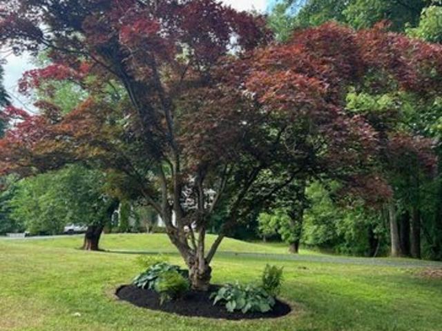 500 Leahy Ct Unit 1L, Frederick, MD 21703