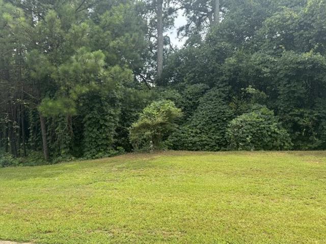 500 McCain Creek Trl, Stockbridge, GA 30281