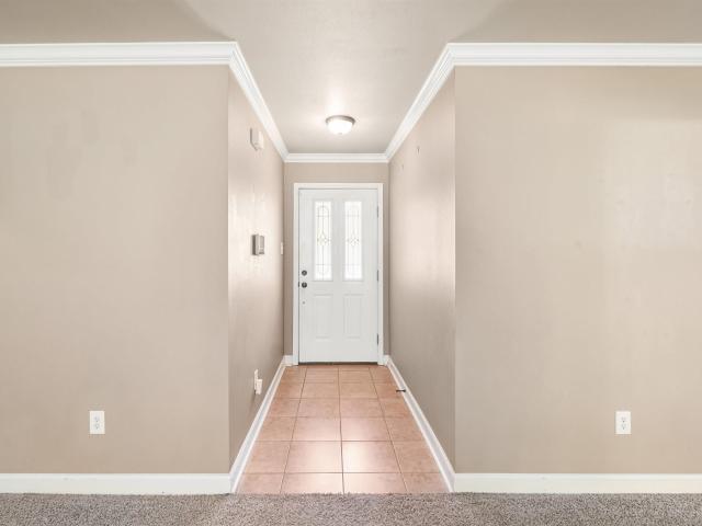 500 Meadow Lynn