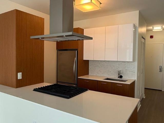 500 N Lake Shore Dr 3409, Chicago, IL