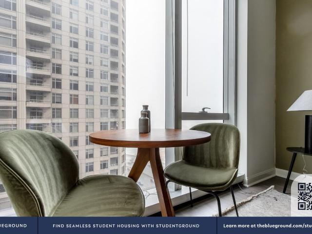 500 North Lake Shore Drive 1 Bedroom Apartment for Rent at 500 N Lake Shore Dr #1022, Chicago, IL 60611 Near North Side