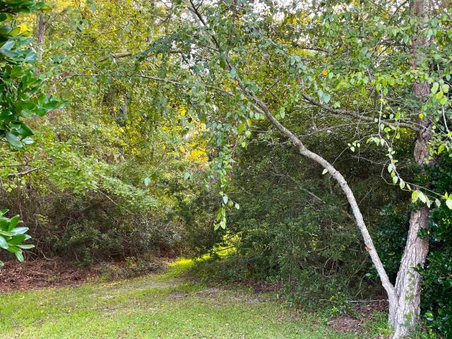 500 Spauldingwood Rd