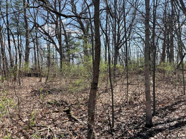 500 Wildwood Ave E, Cedar Lake, IN 46303 | MLS #836819