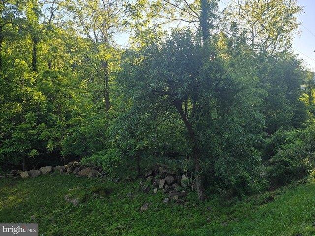 500 Upper Timber Ridge Rd, Circleville, WV 26804