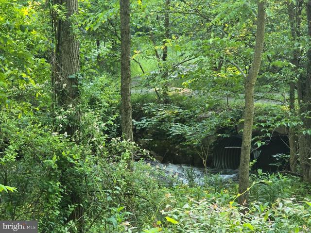 500 Upper Timber Ridge Road