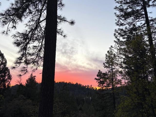 5015 Shooting Star Rd, Pollock Pines, CA 95726 | MLS #226093