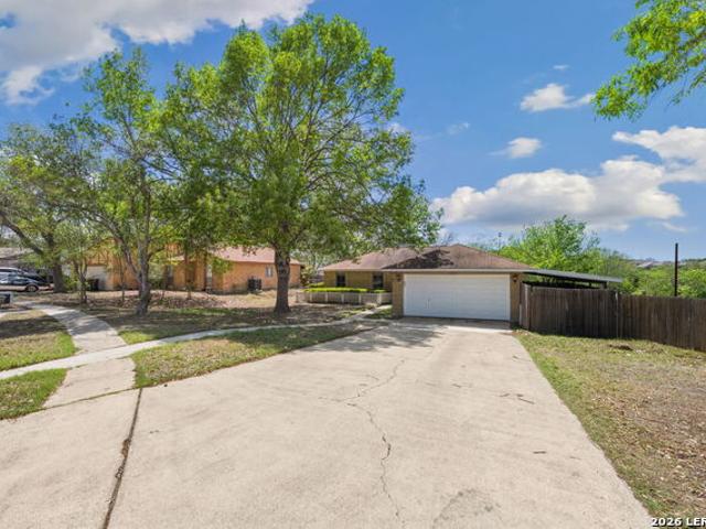 5017 Cherry Tree