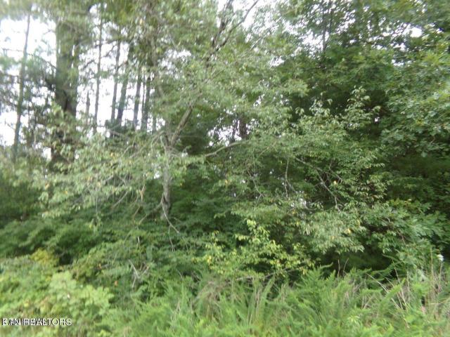 5018 Beaver Rd, Crossville, TN 38572 | MLS #1238