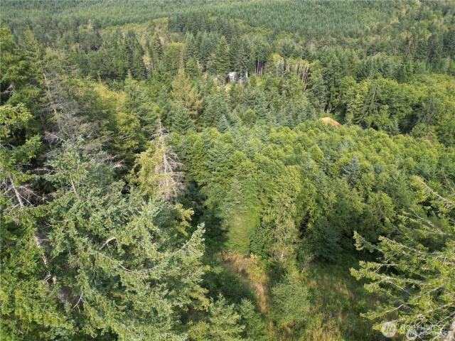 50113 th Ave E, Eatonville, WA 98328 | MLS #2502