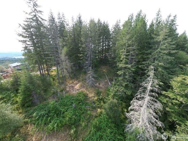 50113 th Ave E, Eatonville, WA 98328