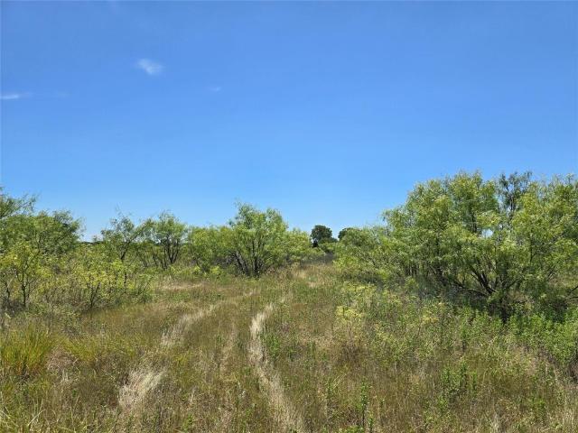 501 County Road 384, Comanche, TX 76442 | MLS #21022