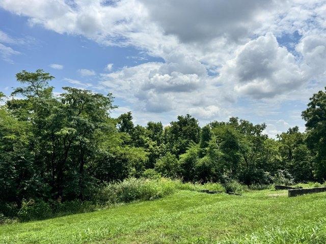 501 Clifton Ave, Frankfort, KY 40601