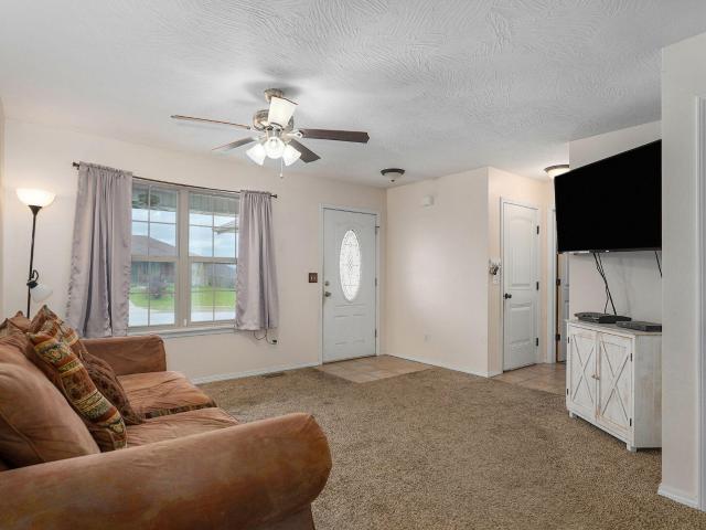 501 Bradford Pear