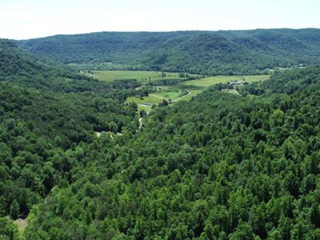 501 Jenkins Branch Rd, Irvine, KY 40336