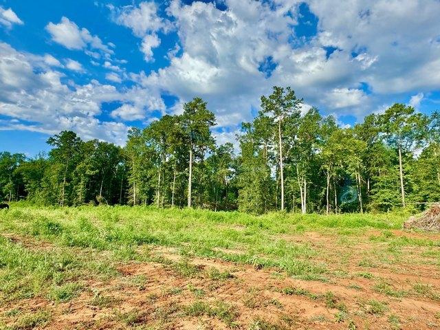 501 Old Tejas Trl W, Hemphill, TX 75948