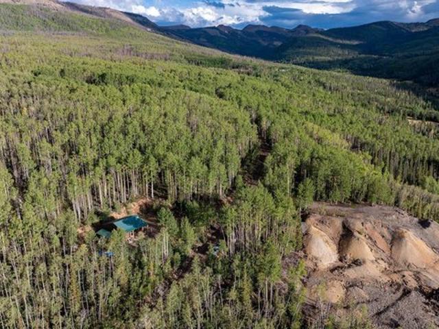 501 Last Chance Rd, Creede, CO 81130