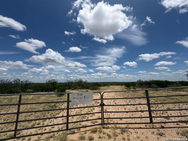 501 Moonlight Trail