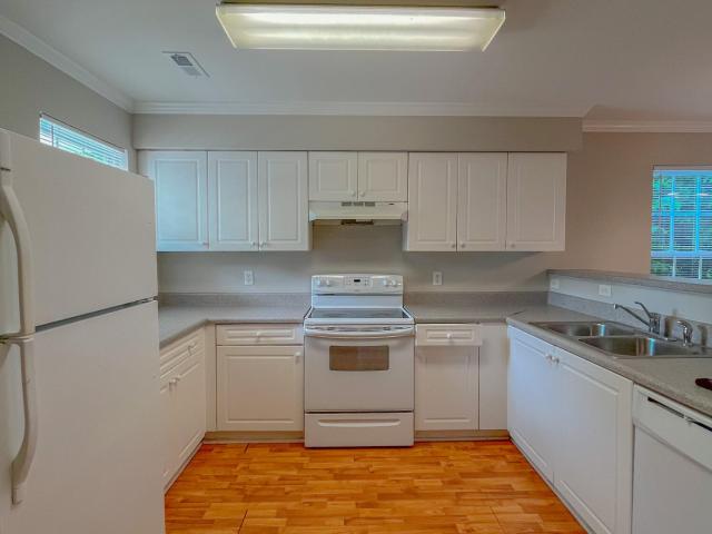 501 Shortfin Drive
