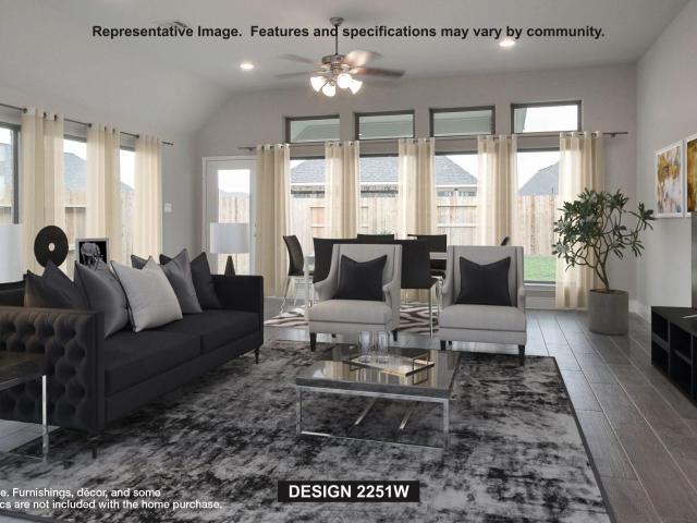 501 Rock Daisy Trl