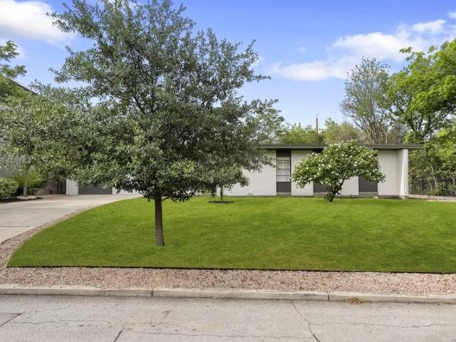 501 Thelma Dr, Olmos Park, TX 78212