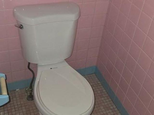5027 Walnut Street 2 Bedroom Apartment for Rent at 5027 Walnut St, Philadelphia, PA 19139 Cobbs Creek